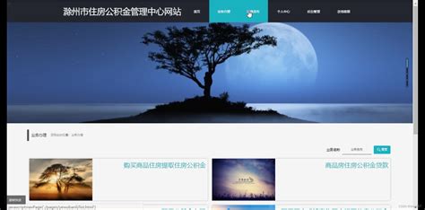 java毕设项目滁州市住房公积金管理中心网站计算机（附源码 系统 数据库 lw） 住房公积金中心办公系统web项目设计 csdn博客