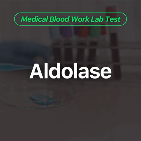 Aldolase Blood Work Lab Test Wittmer Rejuvenation Clinic