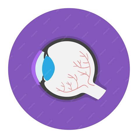 Premium Vector Flat Design Of Human Eye Anatomy With Details Of Retina And Iris Educational