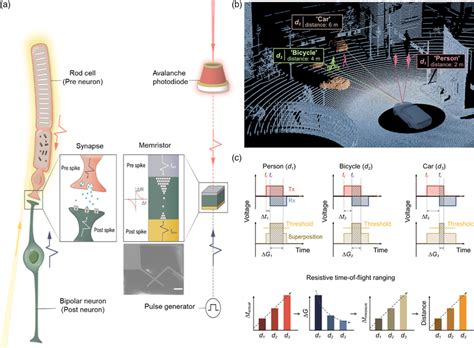 Demonstration Of R‐tof Depth Ranging A Schematic Illustration Of Download Scientific Diagram