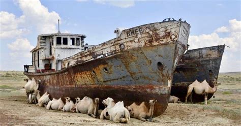 Balancing Stakeholder Priorities For Sustainable Land Management Icarda