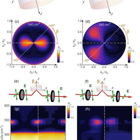 Reflection Geometry For A Tm Polarization And B Te Polarization