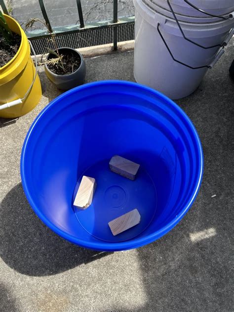 5gal Bucket Wicking System Rpatiogardening