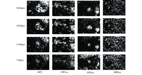 Evolutionary Trends Of Microstructure For Control And Blended Samples