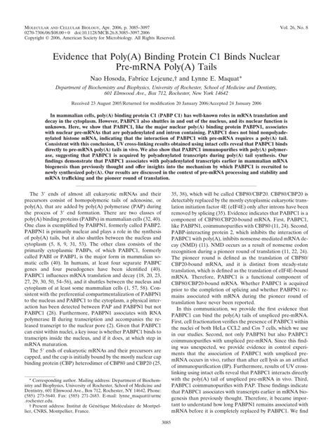 Pdf Evidence That Polya Binding Protein C1 Binds Nuclear Pre Mrna Polya Tails