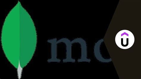 lleva tus conocimientos al siguiente nivel con este curso gratuito de