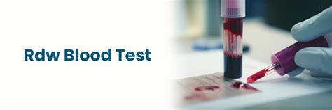 Rdw Blood Test Results What They Reveal About Your Health
