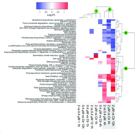 Transcriptional Response Of Ostreococcus Tauri To Cu Exposure Based