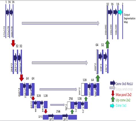 figure 3 from cell segmentation by modified u net architecture for