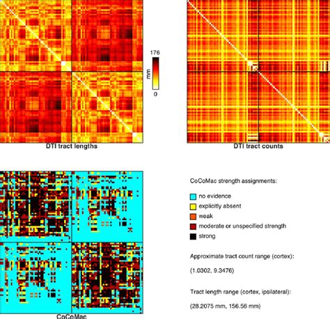 Axonal Tract Tracing And Dti Matrices From A Single Subject Top Left