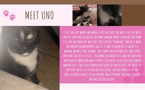Meet Isaella And Uno Saving Gracie