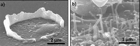 Patterned Growth Vapor Liquid Solid Growth Of Si Wires From Sih 4