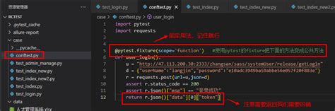 pytest中的关联参数化日志及测试报告 一个名 博客园