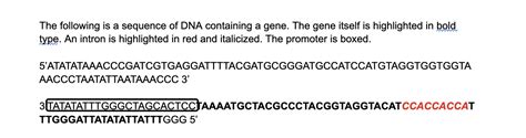 Solved Write The Mature Transcript Of Your Gene Below Note