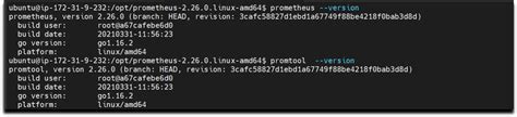 Install Prometheus And Grafana On Ubuntu LTS
