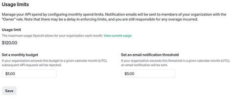 How To Set Organization Usage Limits Api Openai Developer Community