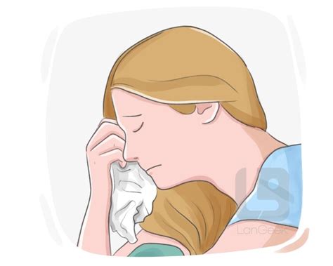 Definition And Meaning Of Upset Langeek