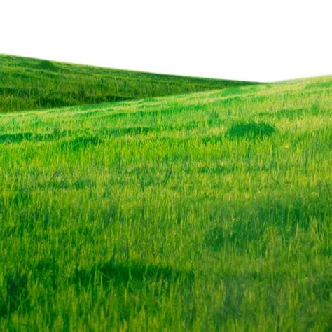Grass Wallpapers Apk Per Android Download Grass Wallpapers Apk Per Android Download