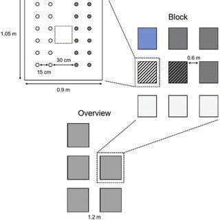 Layout Of The Field Experiment With An Example Block Layout Dark Gray