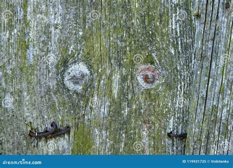 The Texture Of The Old Board Stock Image Image Of Material Face