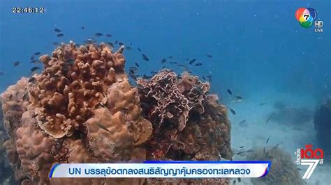 ข่าวประเด็นเด็ดรอบโลก Un บรรลุข้อตกลงสนธิสัญญาคุ้มครองทะเลหลวง