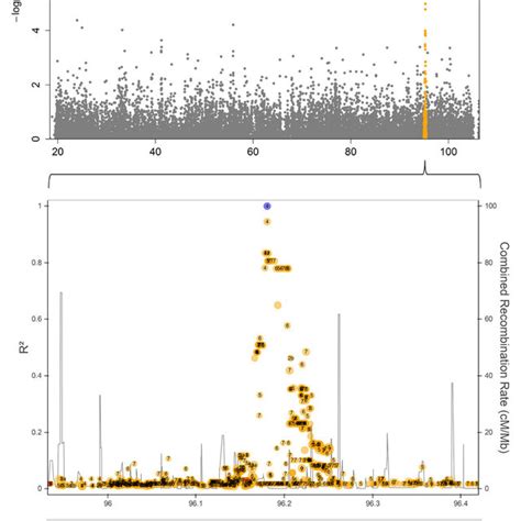 Regional Plot For Chromosome 14 Mloy Meta Analysis Association P Values Download Scientific