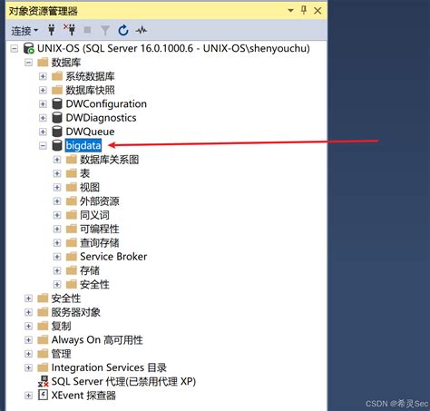 1 Sql Server 2022和ssms的使用案例1ssms连接数据库 Csdn博客 1 Sql Server 2022和ssms的使用案例1ssms连接数据库 Csdn博客