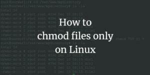 How To Chmod Files Only On Linux