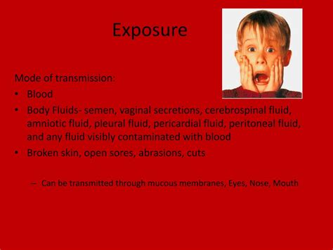 Ppt Bloodborne Pathogens Powerpoint Presentation Free Download Id