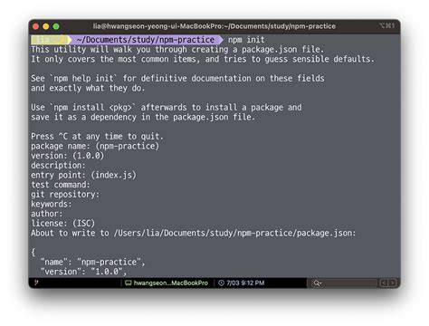 Npm Init으로 Npm Package Json 생성하기
