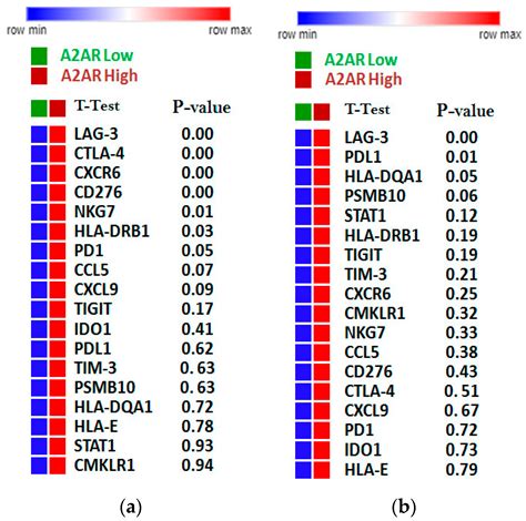 A2ar As A Prognostic Marker And A Potential Immunotherapy Target In