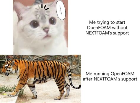 Nextfoam On Linkedin Openfoam Nextfoam Openfoam Cfd Baram