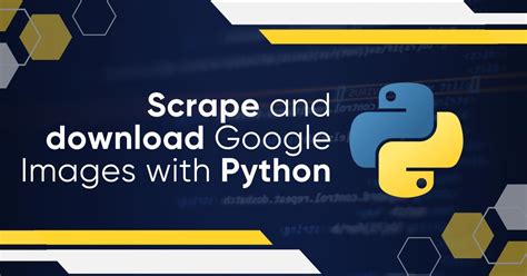 How to Scrape and Download Google Images: A Step-by-Step Guide | HasData
