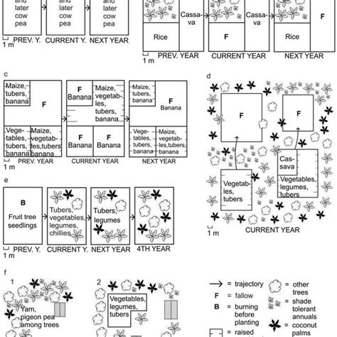 Spatial Distribution And Photographs Of The Cropping Patterns In The Download Scientific