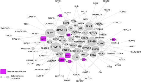 Gene Coexpression Network Coexpression Network Of Genes Differentially Download Scientific