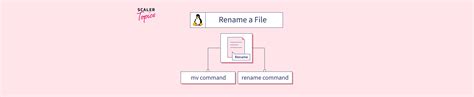 How To Rename A File In Linux Scaler Topics