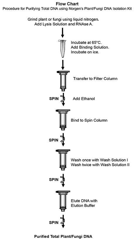 Plantfungi Dna Isolation Kit Protocol
