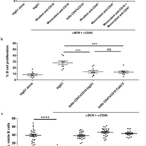 Cd47cd19 Co Engagement Inhibits B Cell Proliferation Triggered By Bcr