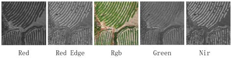 Research On Tobacco Field Semantic Segmentation Method Based On
