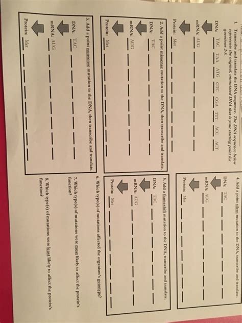 Solved Transeribe And Translate The Dna Sequence The Dna