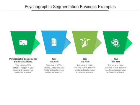 Psychographic Segmentation Business Examples Ppt Powerpoint