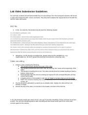 Lab Guidelines Docx Lab Video Submission Guidelines For Each Lab Babes Should Demonstrate