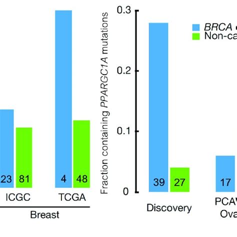 Fraction Of Brca Carriers And Non Carriers That Contained Ppargc1a Download Scientific Diagram