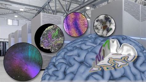 How Brain Research Tests Supercomputers Like Never Before Technology Networks