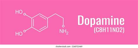 109 Neurotransmitters Serotonin Dopamine And Endorphins 이미지 스톡 사진 및 벡터 Shutterstock