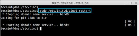Setting Up A Caching DNS Server In Ubuntu Server