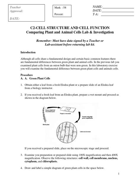 C2 Cell Structure And Cell Function Lab And Investigation Pdf Osmosis Cell Biology