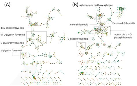 Representation Of Molecular Networking Application Based On Download Scientific Diagram