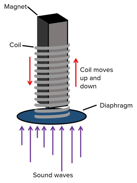 The Generator Effect Questions And Revision Mme