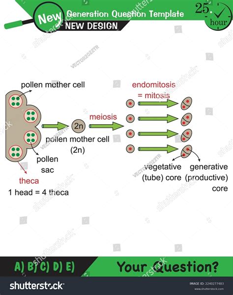 Biology Lecture Notes Plant Physiology Flower Stock Vector Royalty Free 2240277483 Shutterstock